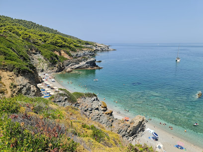 Skopelos Island Greece | Panormos Stafylos Neo Klima Glossa